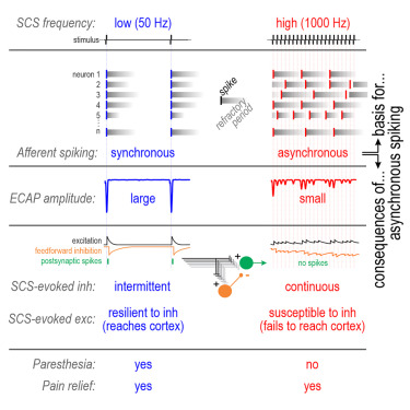 Absence of paresthesia during high-rate spinal cord stimulation reveals ...